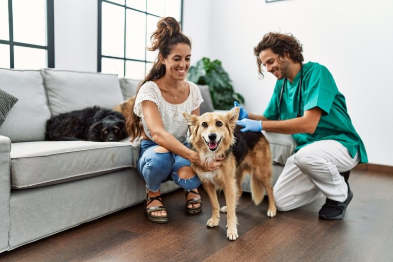 Vet-Pet Communication: Enhancing Care for Your Beloved Pets